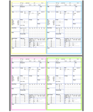Nurse Brain: Creating Your Nursing Report Sheet